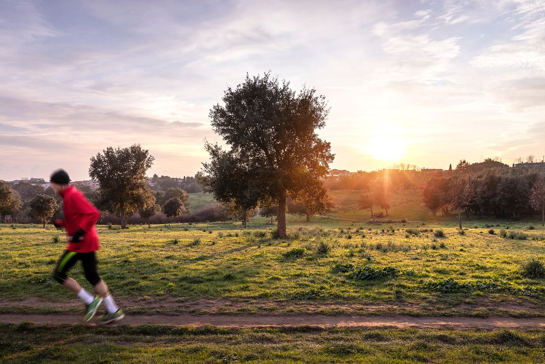 Forte Braschi | Contesto